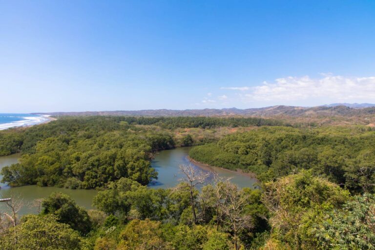 20 Best Things to Do in Nosara, Costa Rica