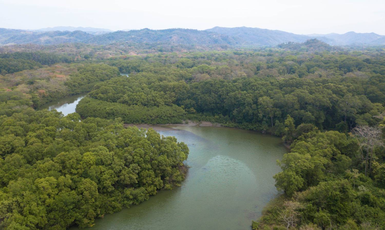 20 Best Things to Do in Nosara, Costa Rica